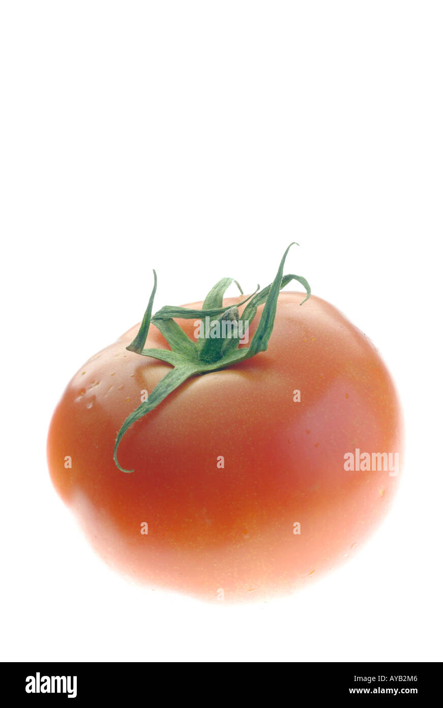 Genetically modified tomatoes hi-res stock photography and images - Alamy