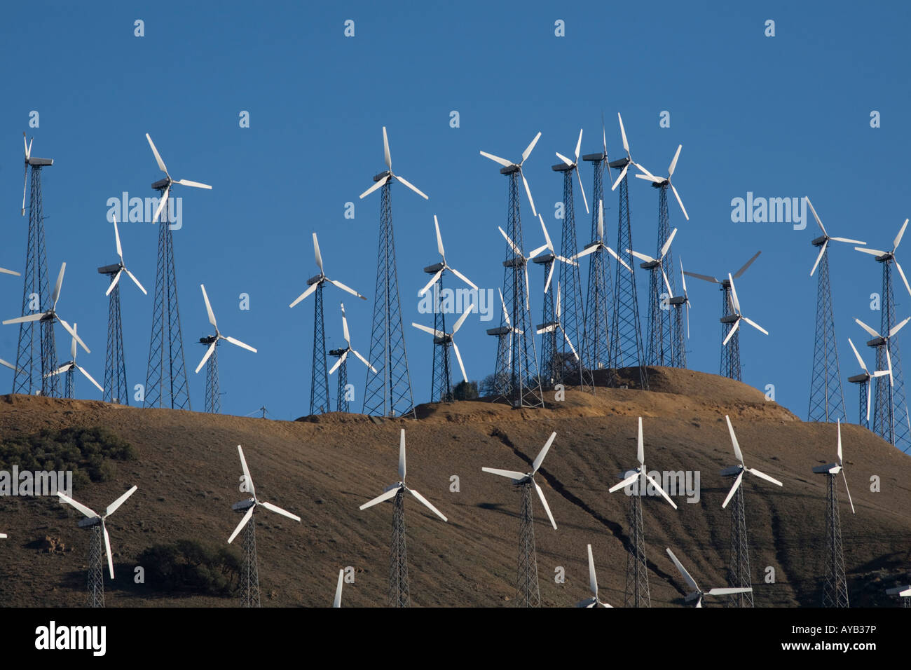 Wind farm in Nevada desert Stock Photo - Alamy