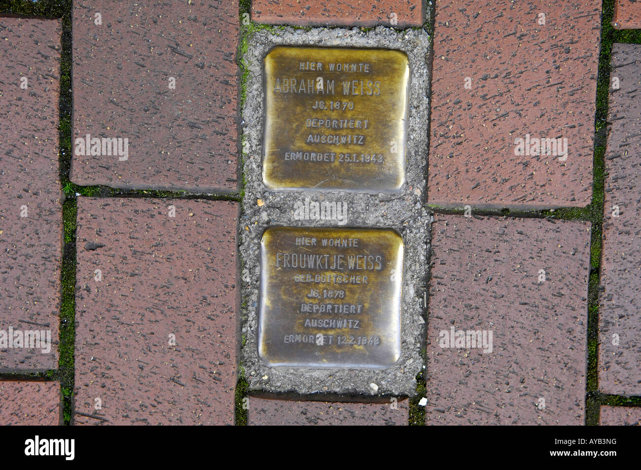 holocaust memorial stumbling stones art germany tribute Stock Photo - Alamy