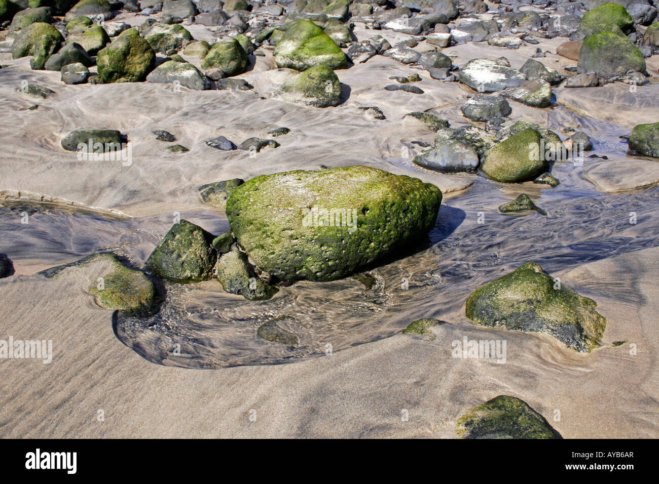 ROCK POOL ON A BEACH Stock Photo - Alamy