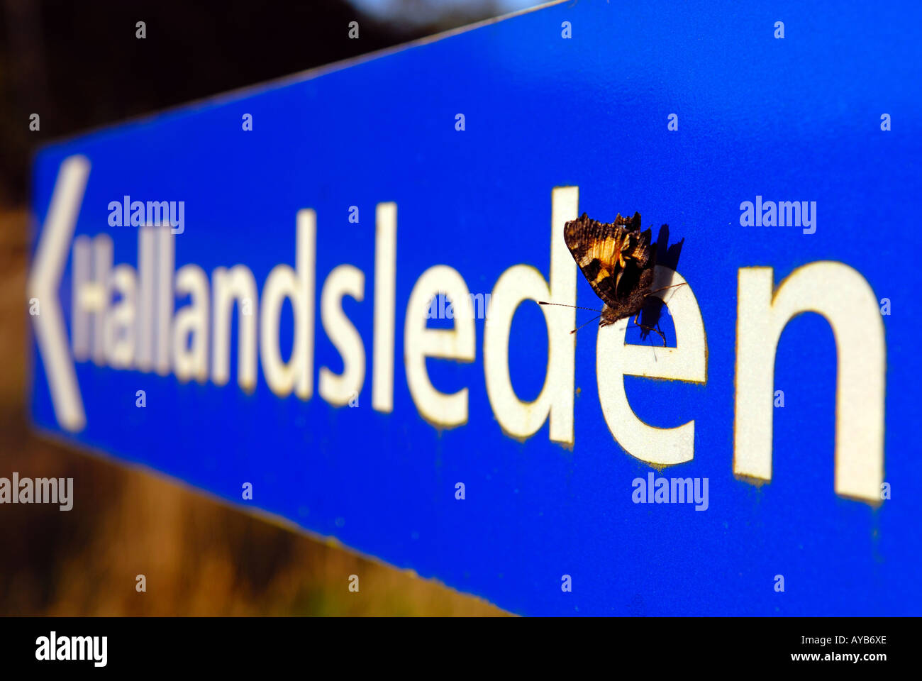Hallandsleden hi-res stock photography and images - Alamy