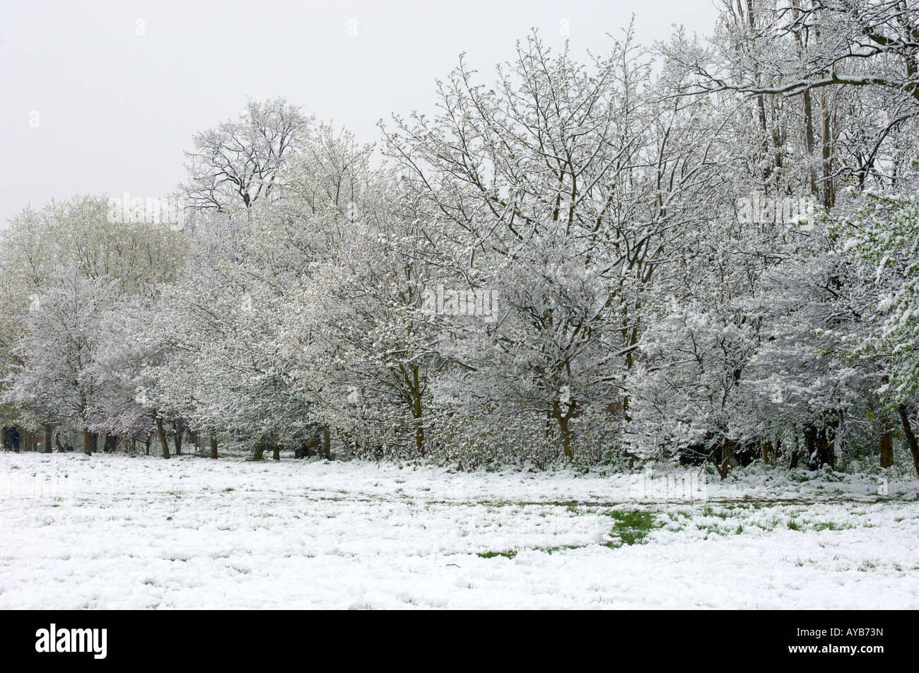 A snowy scene in North London Stock Photo - Alamy