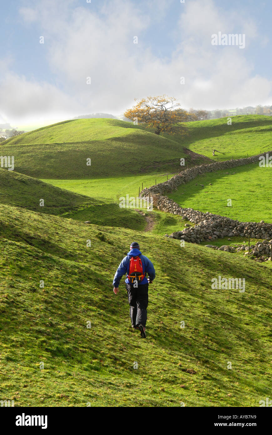 Grevie backar hi-res stock photography and images - Alamy