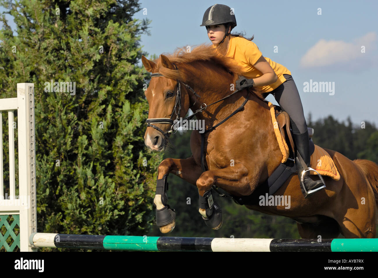 Girl riding pony jumping on hi-res stock photography and images - Alamy