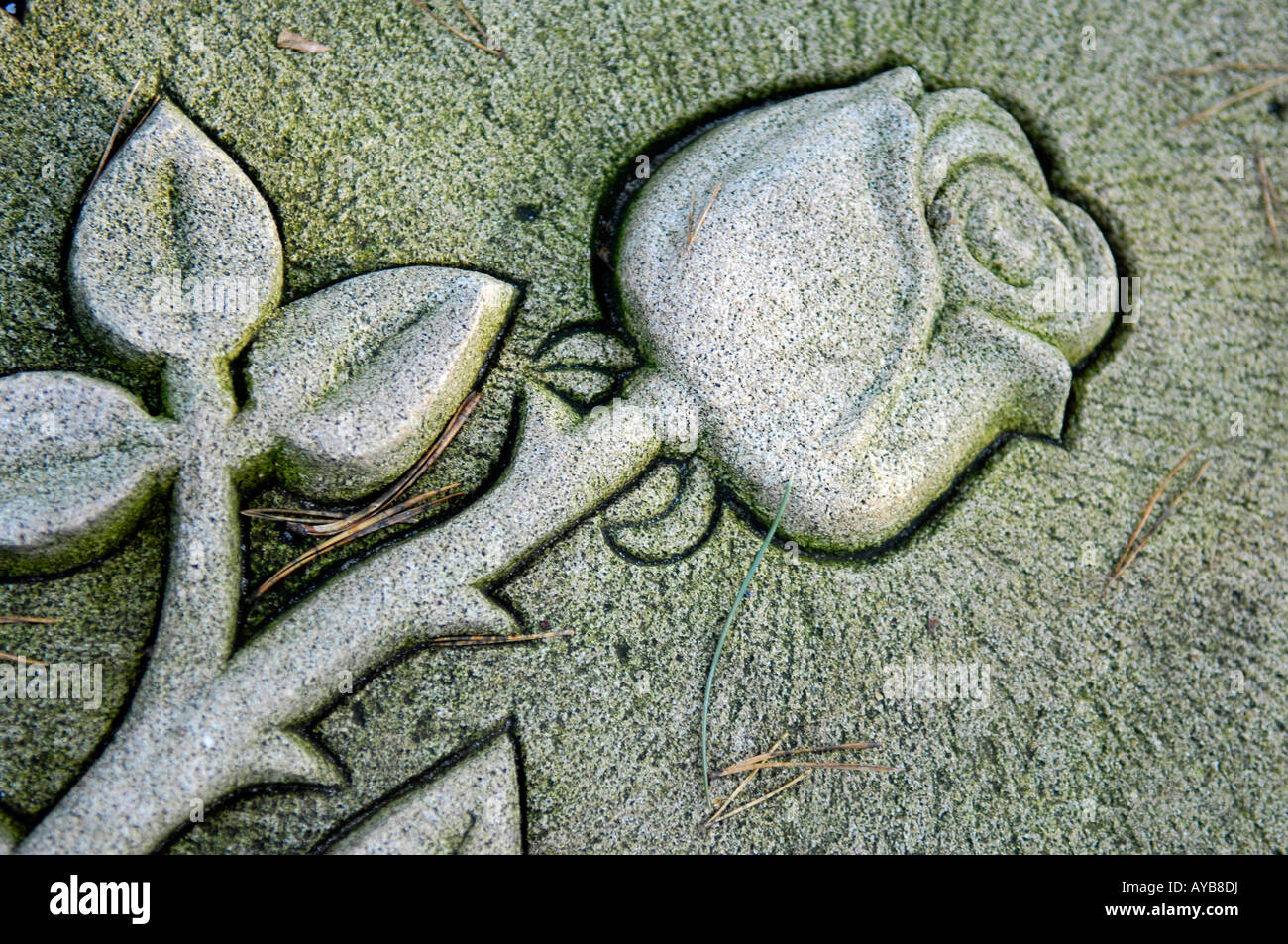 stone rose motif headstone cemetery german deutschland design graveyard ...