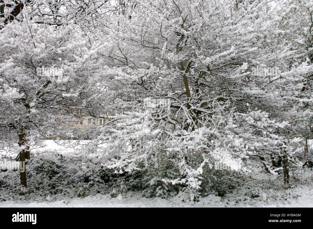 A snowy scene in North London Stock Photo - Alamy