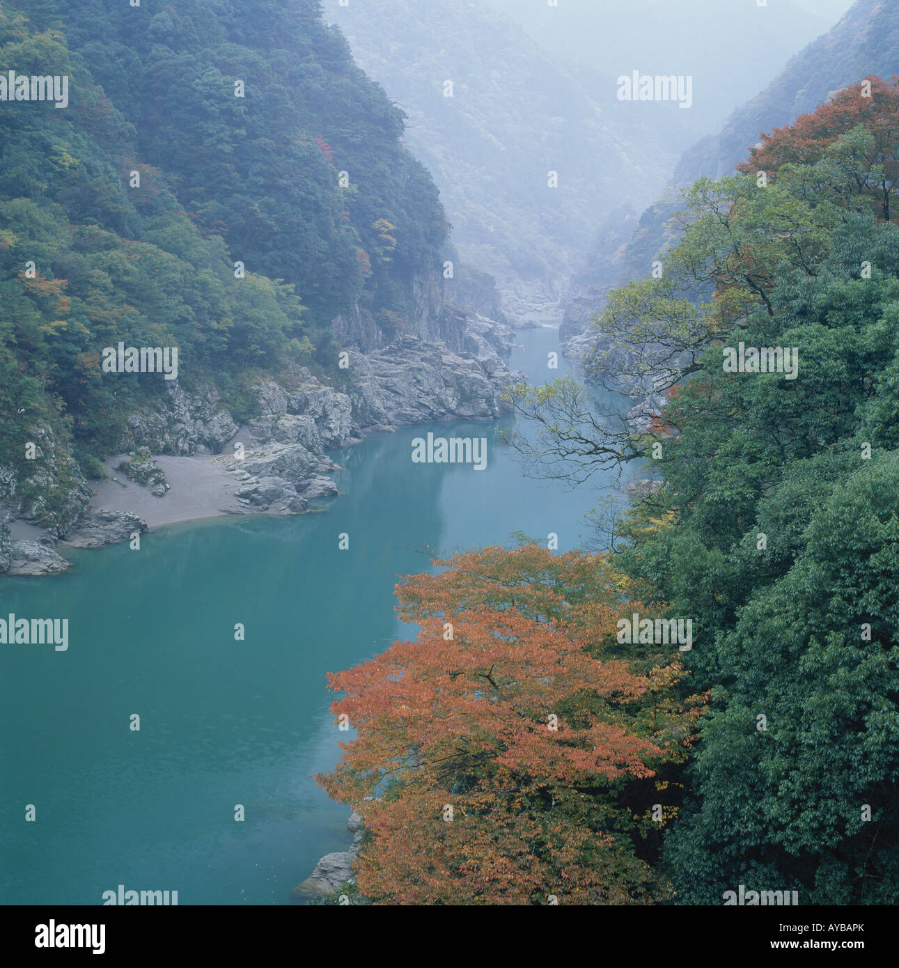 Japan oboke gorge hi-res stock photography and images - Alamy