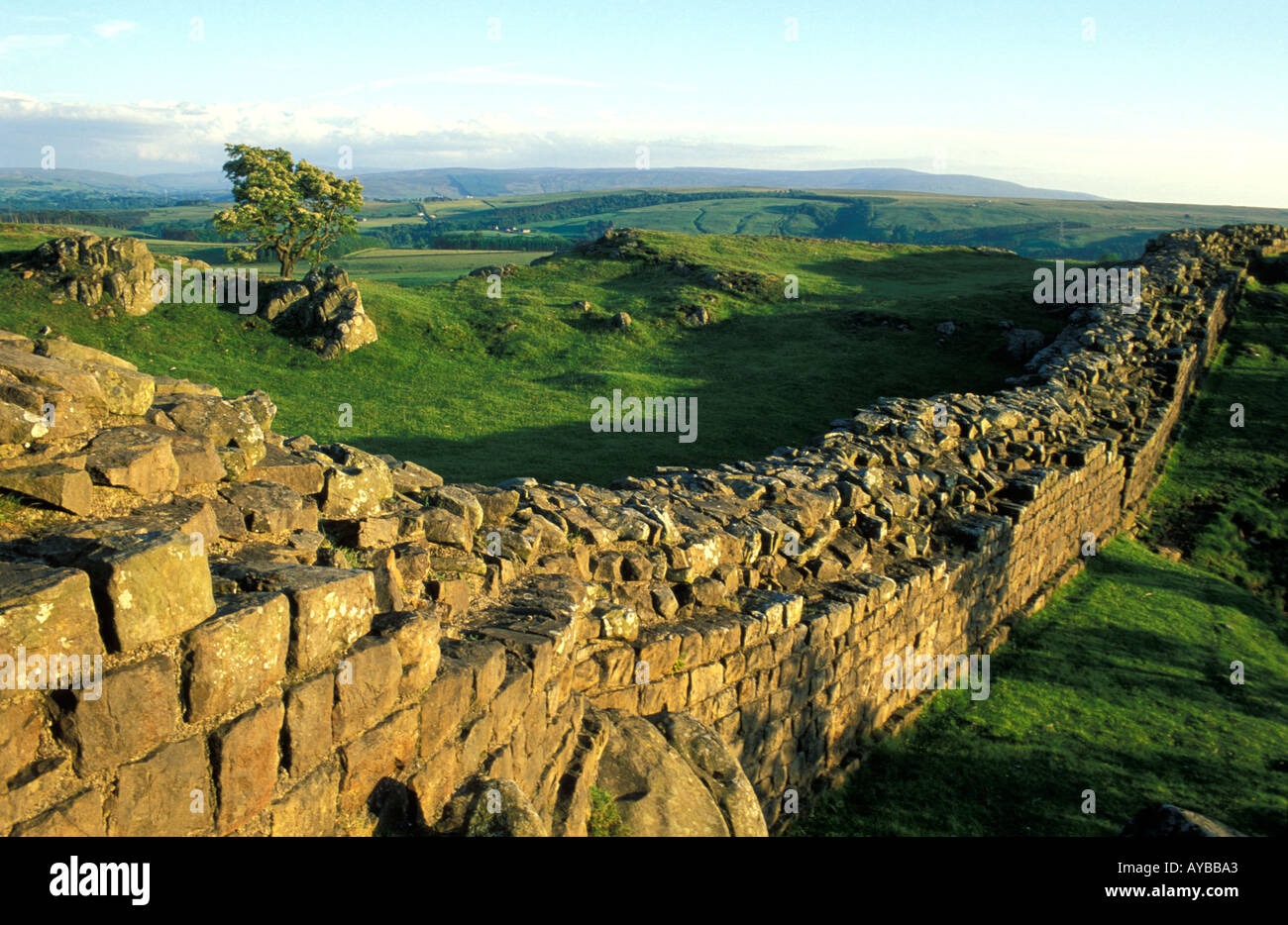 The roman Hadrians Wall in Northumberland Great Britain Stock Photo - Alamy