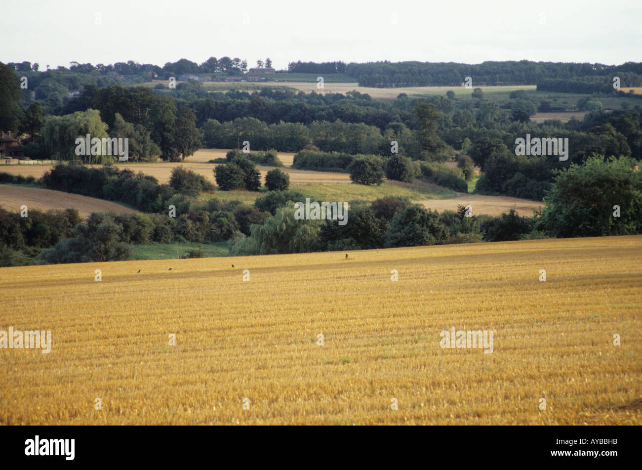 Medway valley hi-res stock photography and images - Alamy