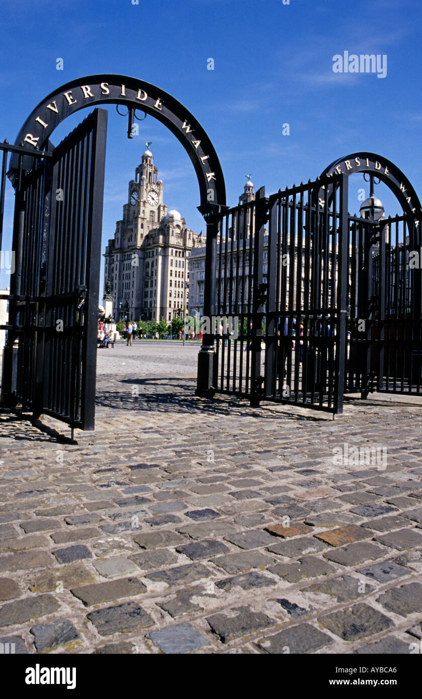 View of Liver Building through Gates alongside Albert Dock Liverpool ...