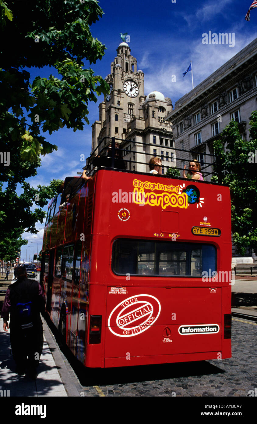 Tour Bus Outside Liver Buildings Liverpool Stock Photo - Alamy