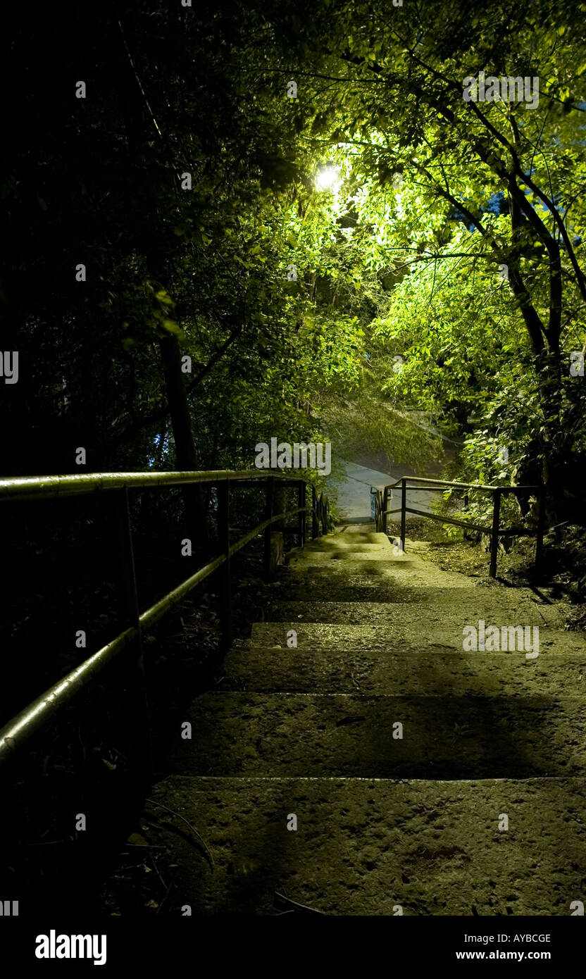 Trees along eerie stairs and a footpath at night Stock Photo - Alamy
