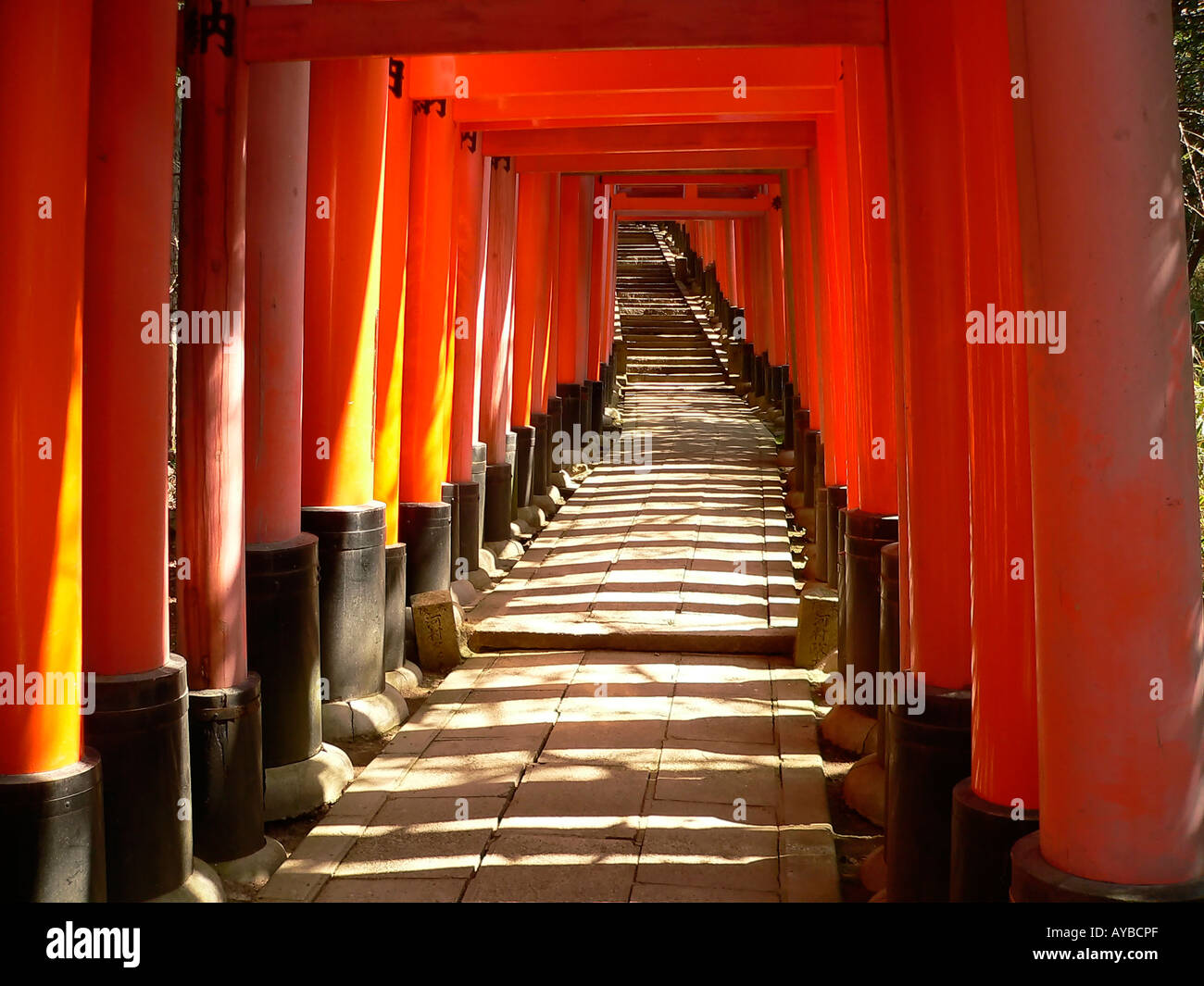 Famous torii gates at Kyoto's Fushimi Inari Shrine Stock Photo - Alamy