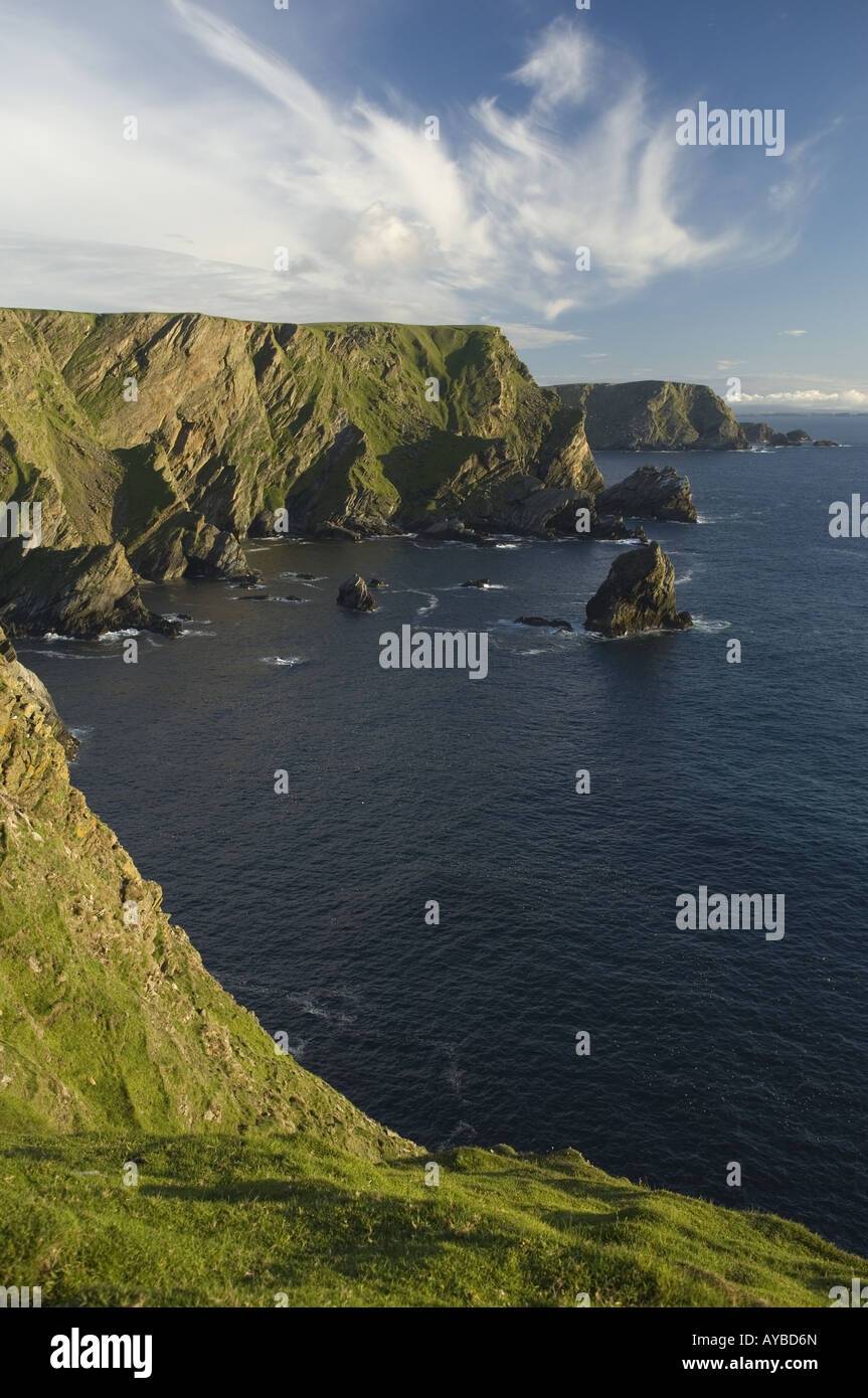 Sea cliffs at Hermaness NNR, Unst, Shetland, UK Stock Photo - Alamy