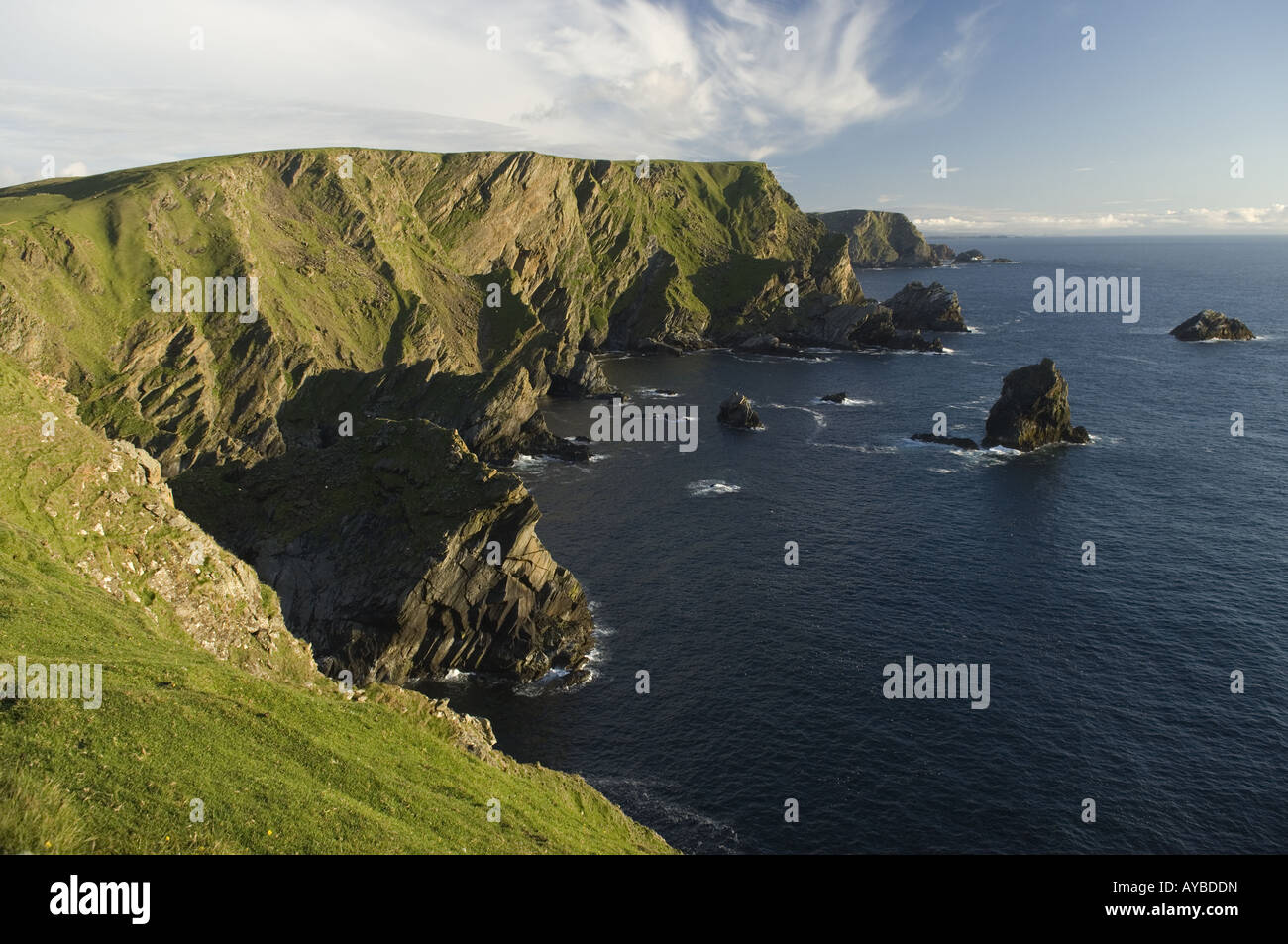 Cliffs at Hermaness NNR, Unst, Shetland, UK Stock Photo - Alamy