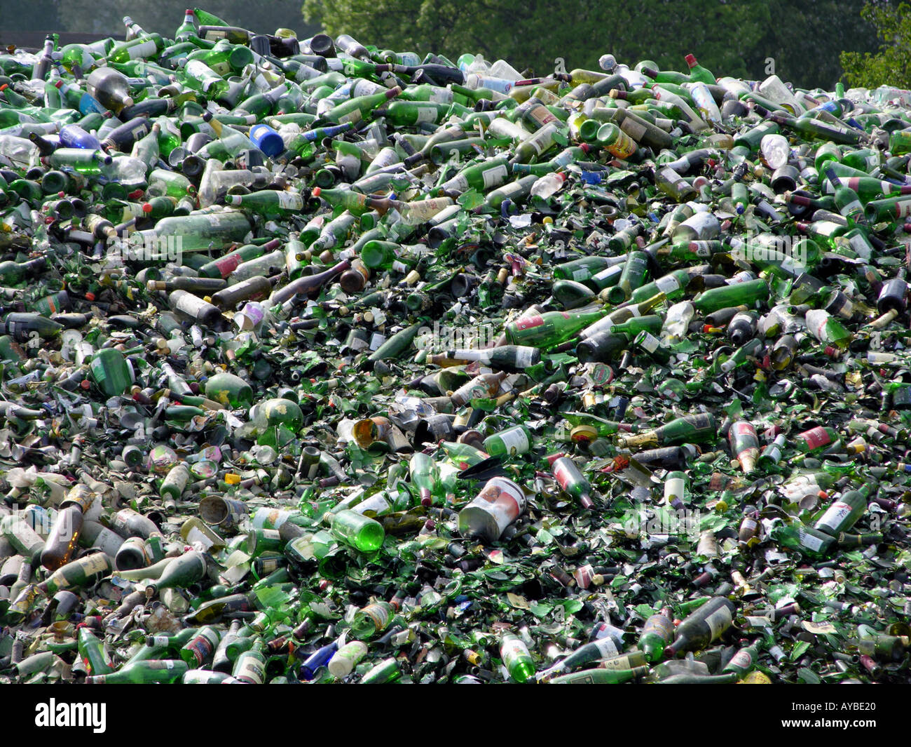 recycling the glass bottles Stock Photo - Alamy