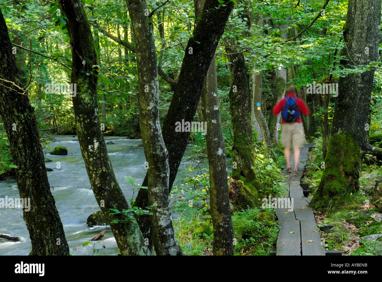 Skaneleden sweden hi-res stock photography and images - Alamy
