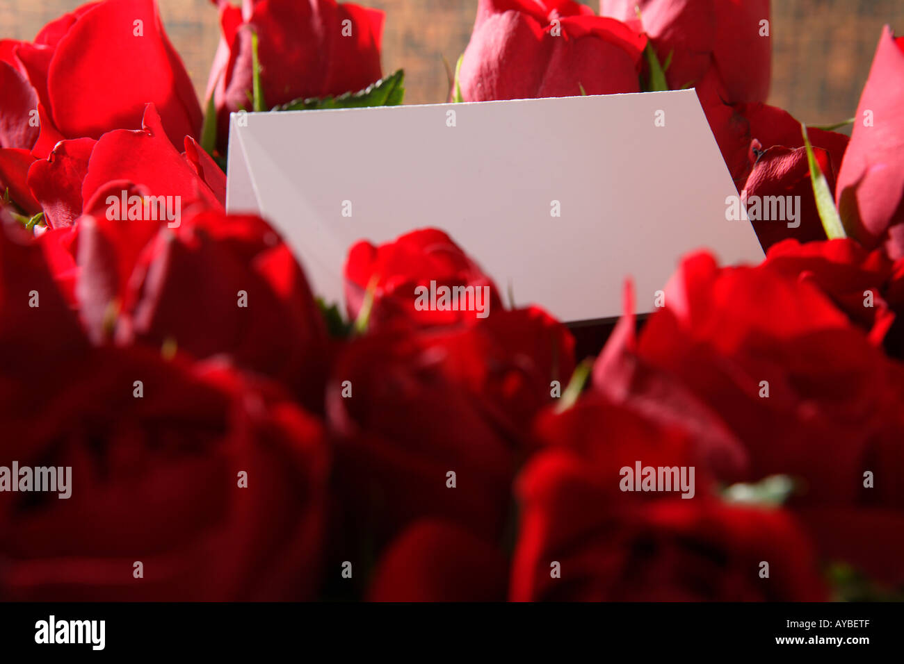 Red Roses with blank card for writing message Stock Photo - Alamy