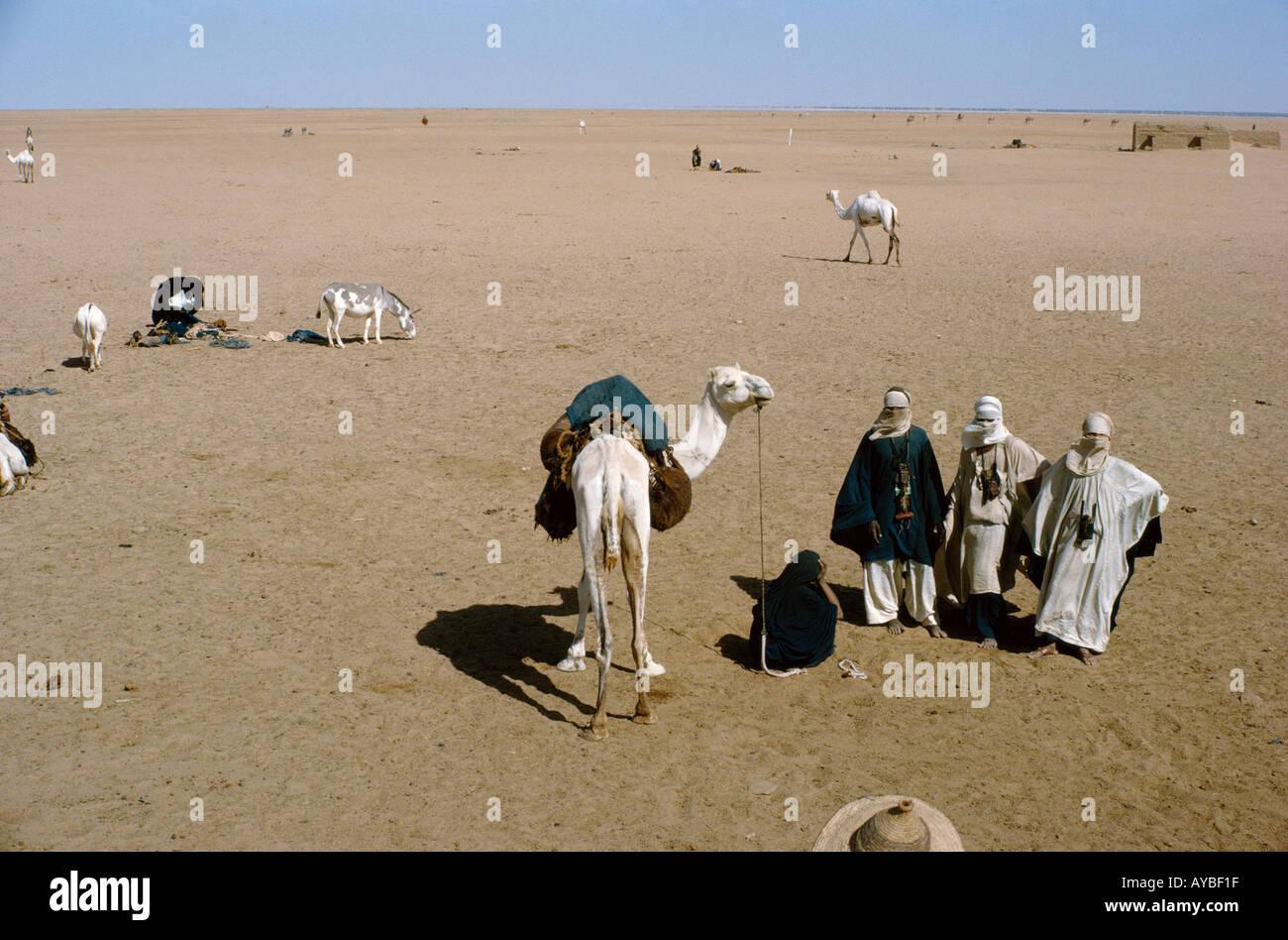Tuareg Touareg men with camel in Sahara desert In Abangarit Niger ...