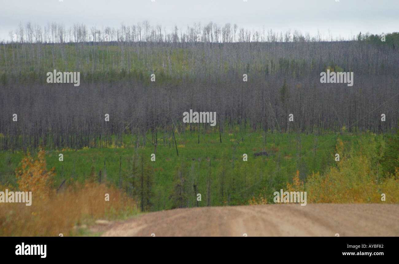 Scenic northern Saskatchewan country road Stock Photo - Alamy