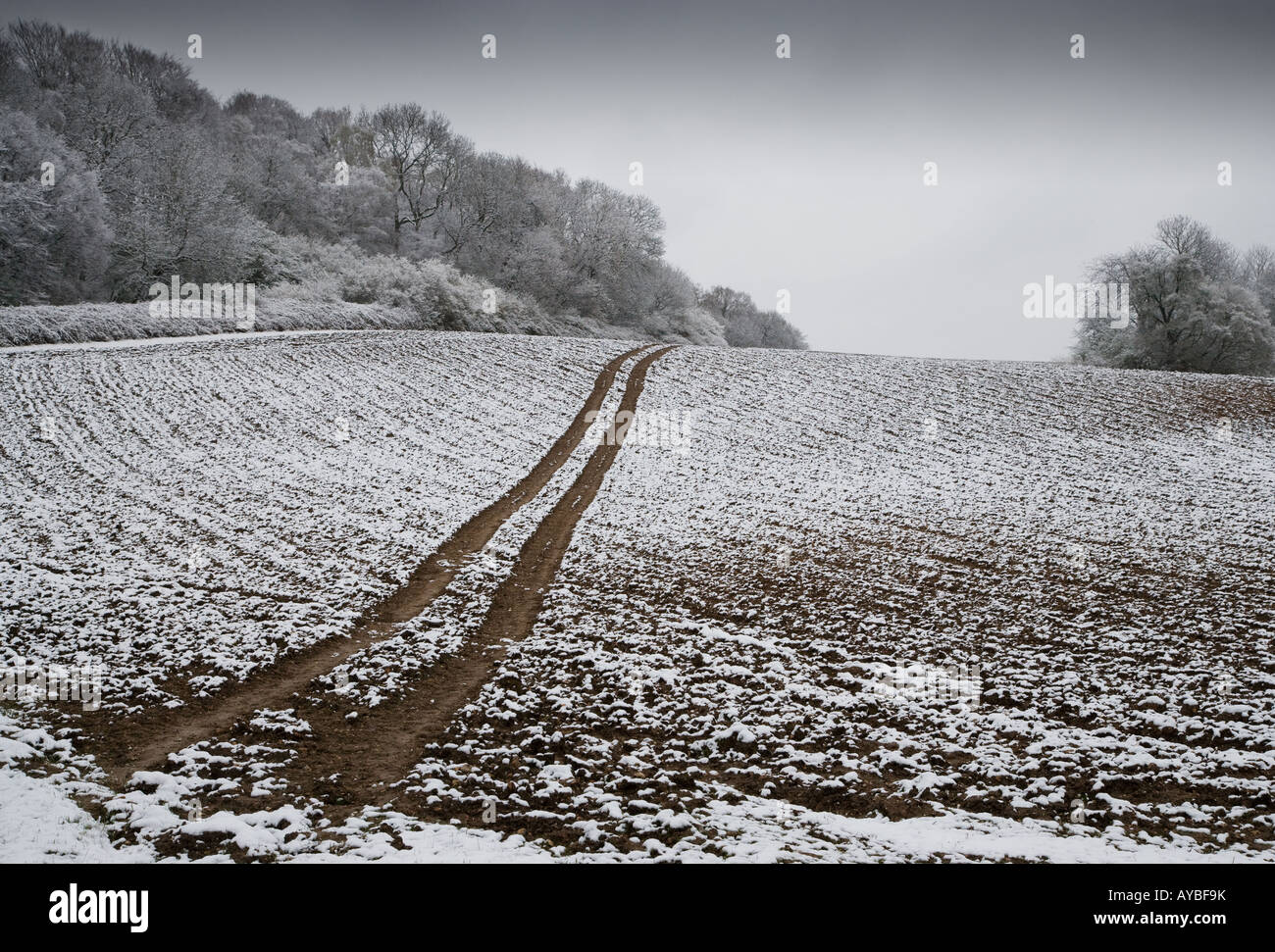 Farm Tracks Stock Photos & Farm Tracks Stock Images - Alamy