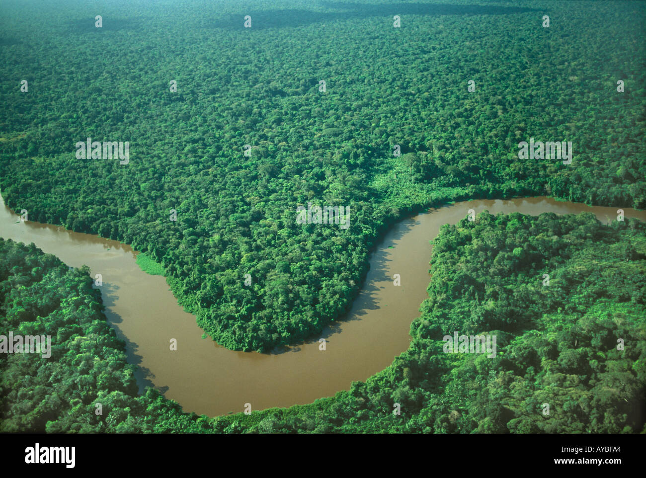 Brazil Para river winding in tropical rain forest Stock Photo - Alamy