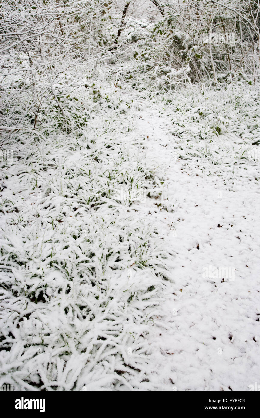 ground covered in Winter frost, ice and snow in the Chilterns Stock ...