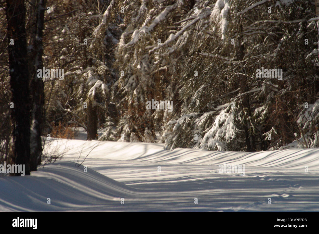 Winter scene view of a snow covered road in scenic Northern Canada ...