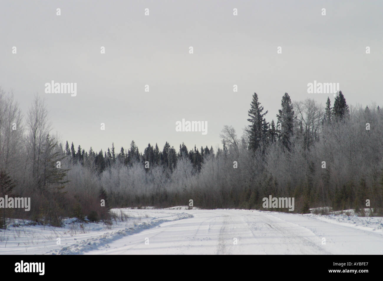 Snow covered road in scenic Northern Saskatchewan Canada Stock Photo ...