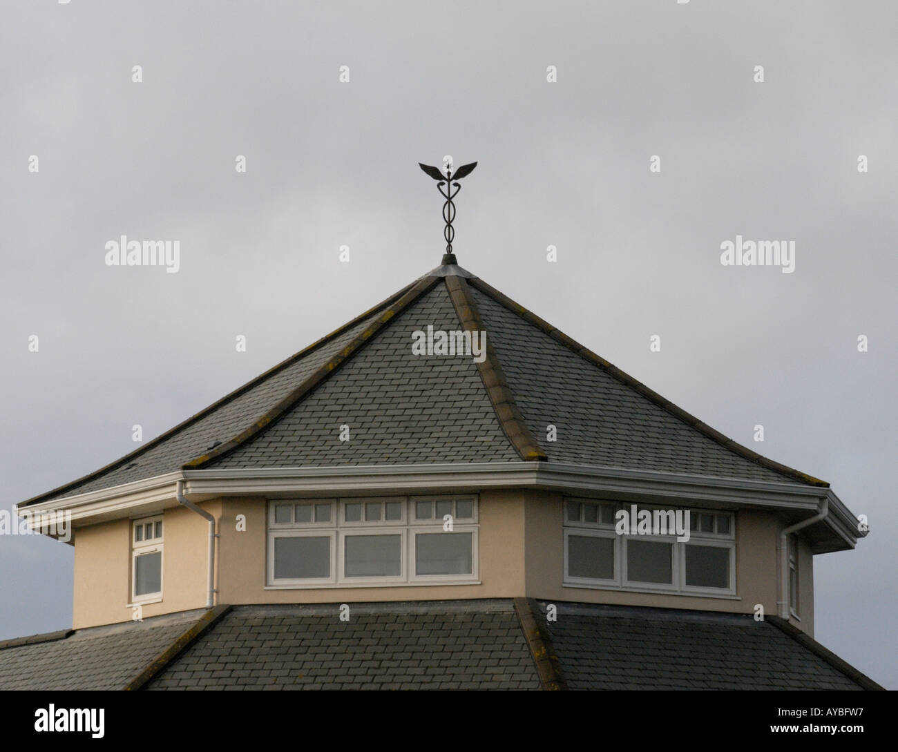 A caduceus or rod of Asclepius strictly the rod of Asclepius has only ...