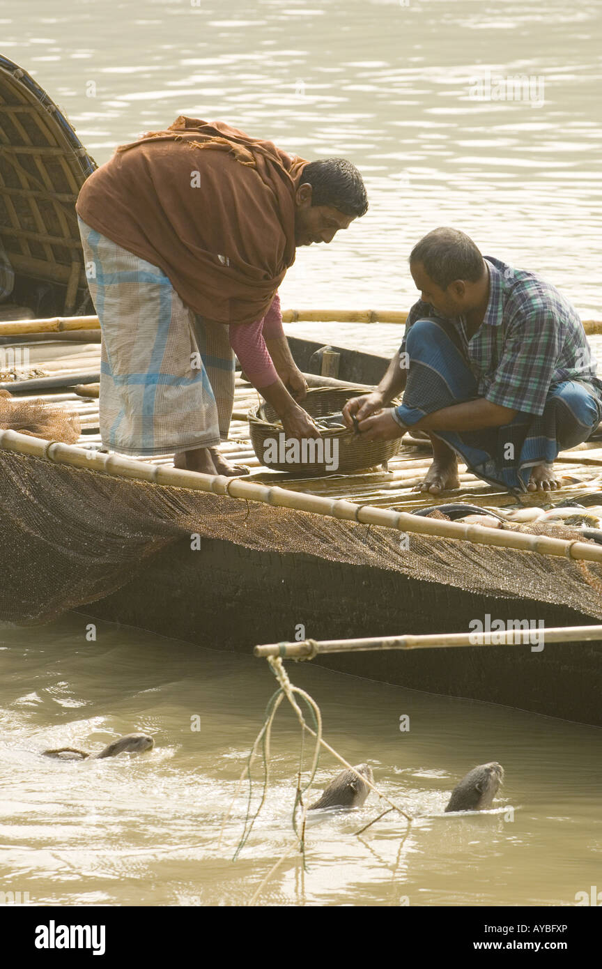 Otter fishing hi-res stock photography and images - Alamy