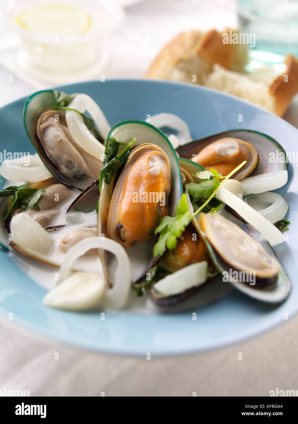 Coconut mussel stew Stock Photo - Alamy