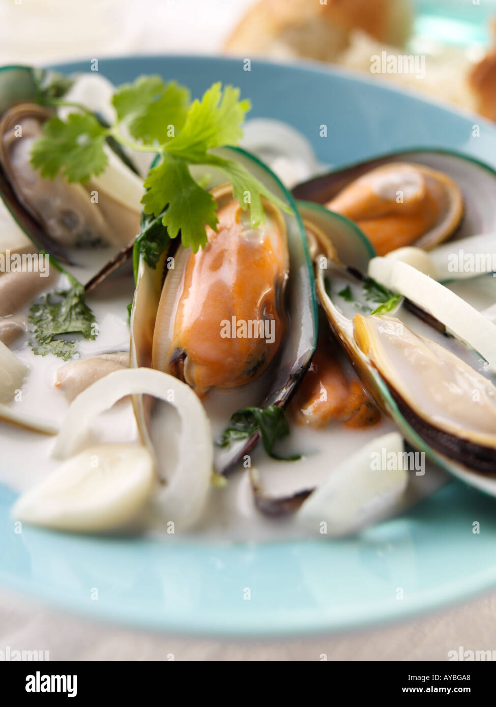 Coconut mussel stew Stock Photo - Alamy