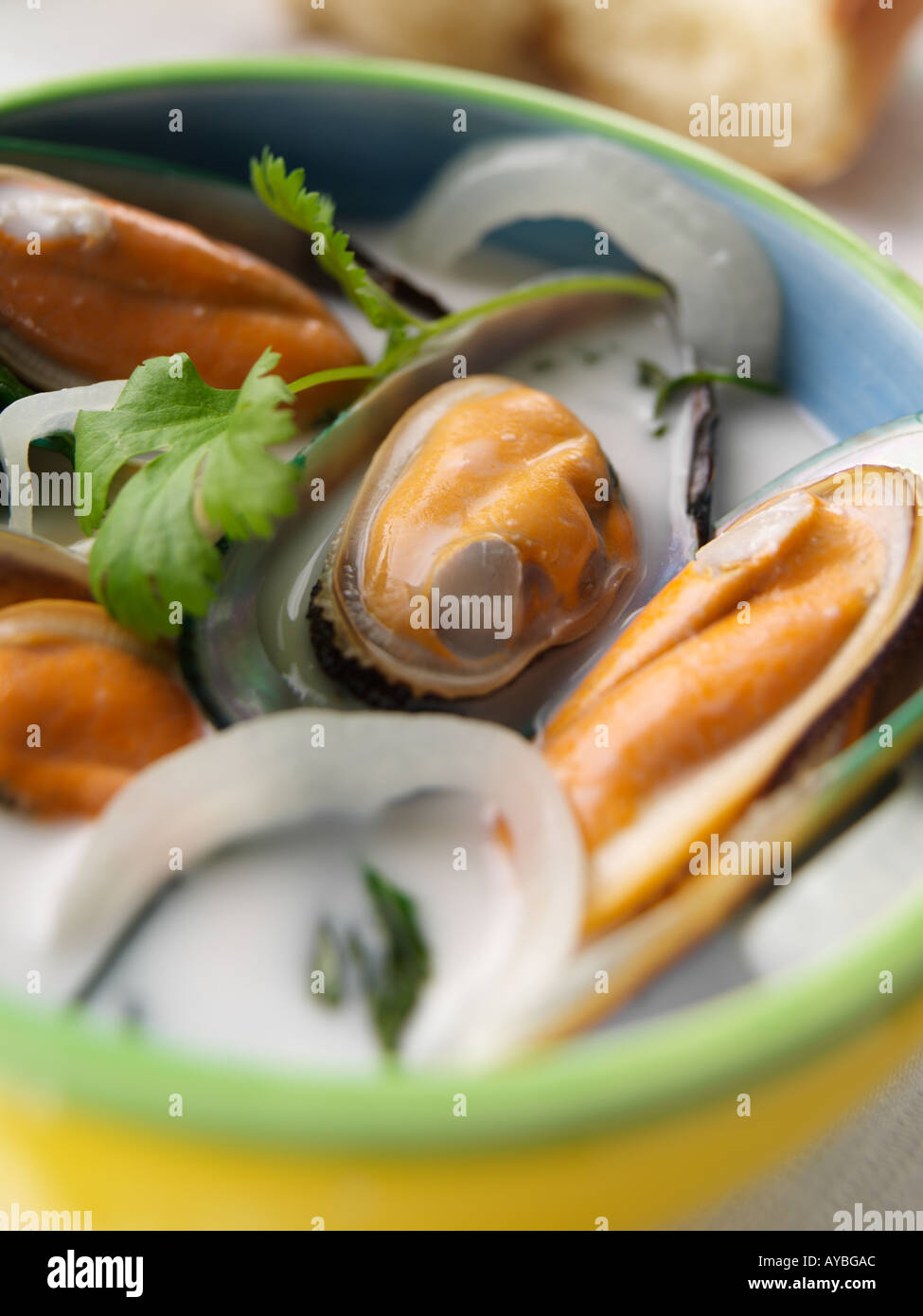 Coconut mussel stew Stock Photo - Alamy