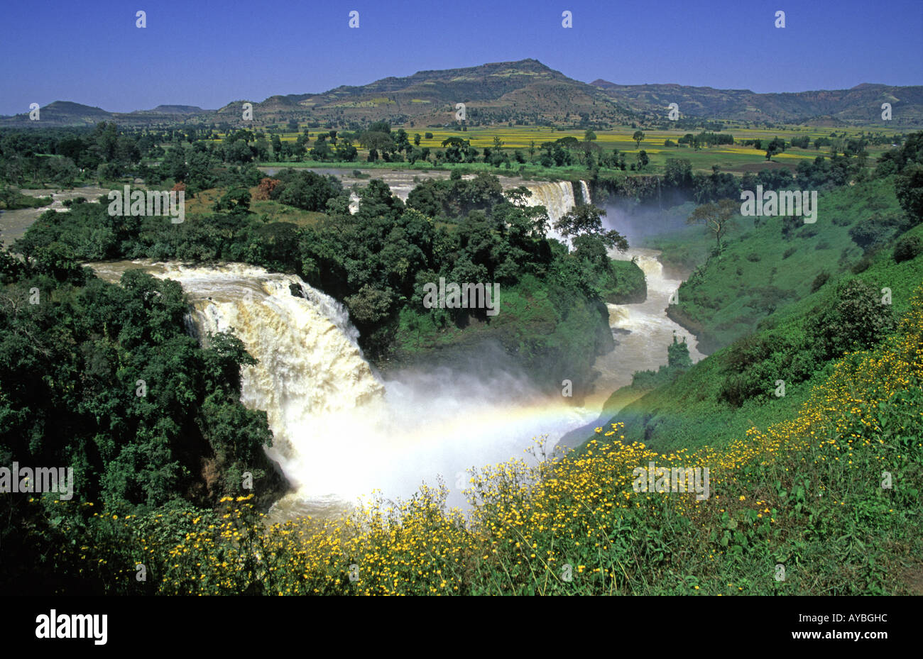 The Blue Nile Falls near Bahir Dar in Ethiopia Stock Photo - Alamy