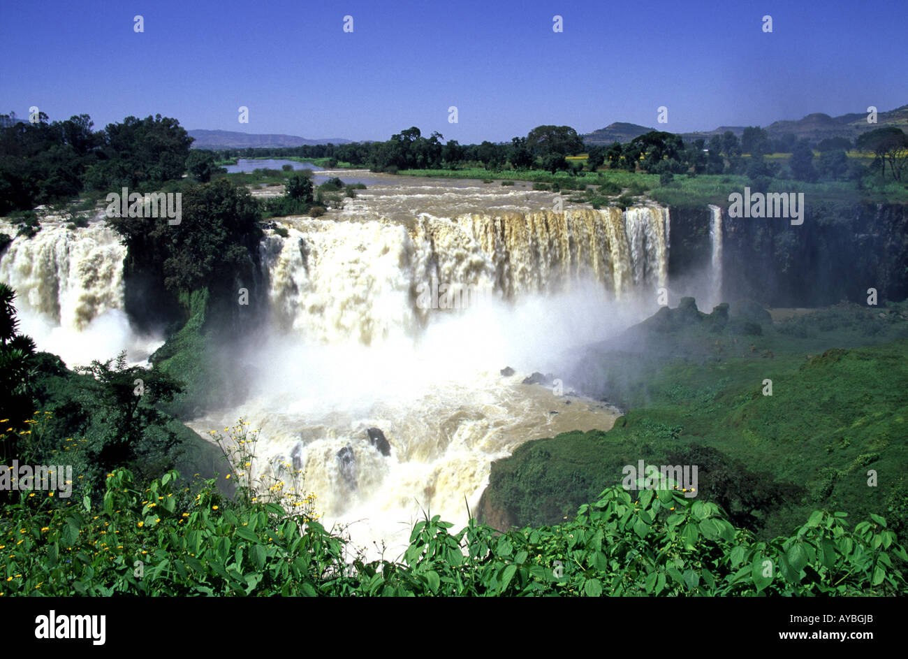 The Blue Nile Falls near Bahir Dar in Ethiopia Stock Photo - Alamy