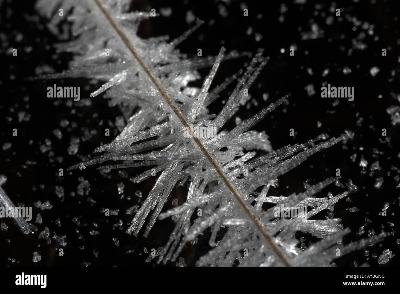 Crystalized frost hi-res stock photography and images - Alamy