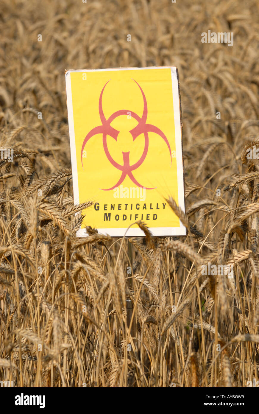 Corn and biohazard sign hi-res stock photography and images - Alamy