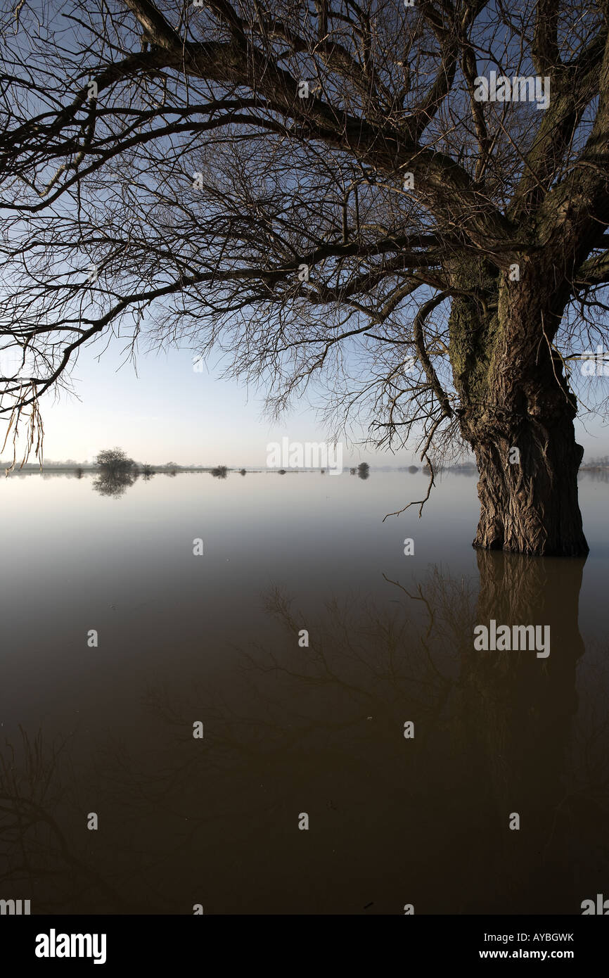 flood water after the river derwent burst its banks Bubwith East Riding ...