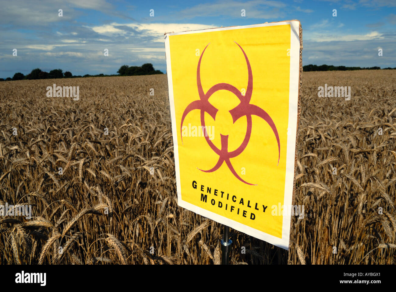 Corn and biohazard sign hi-res stock photography and images - Alamy