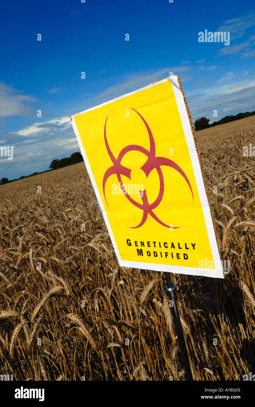 GM crops biohazard warning Stock Photo - Alamy