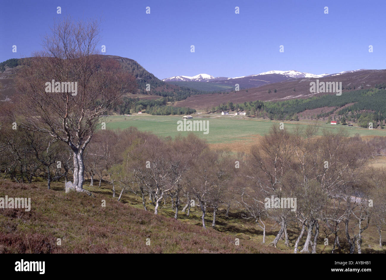 Morrone scotland hi-res stock photography and images - Alamy