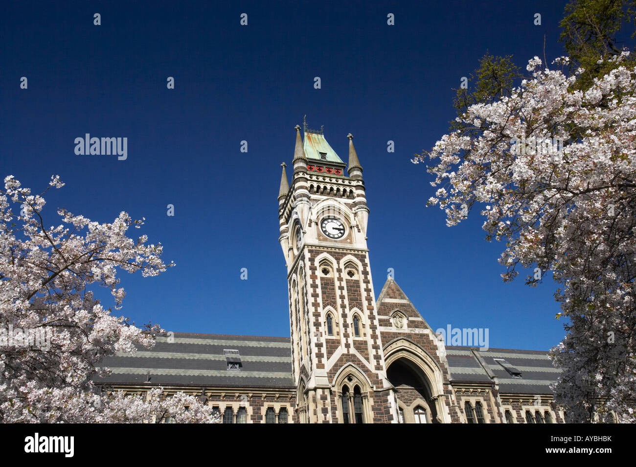 Otago university buildings hi-res stock photography and images - Alamy