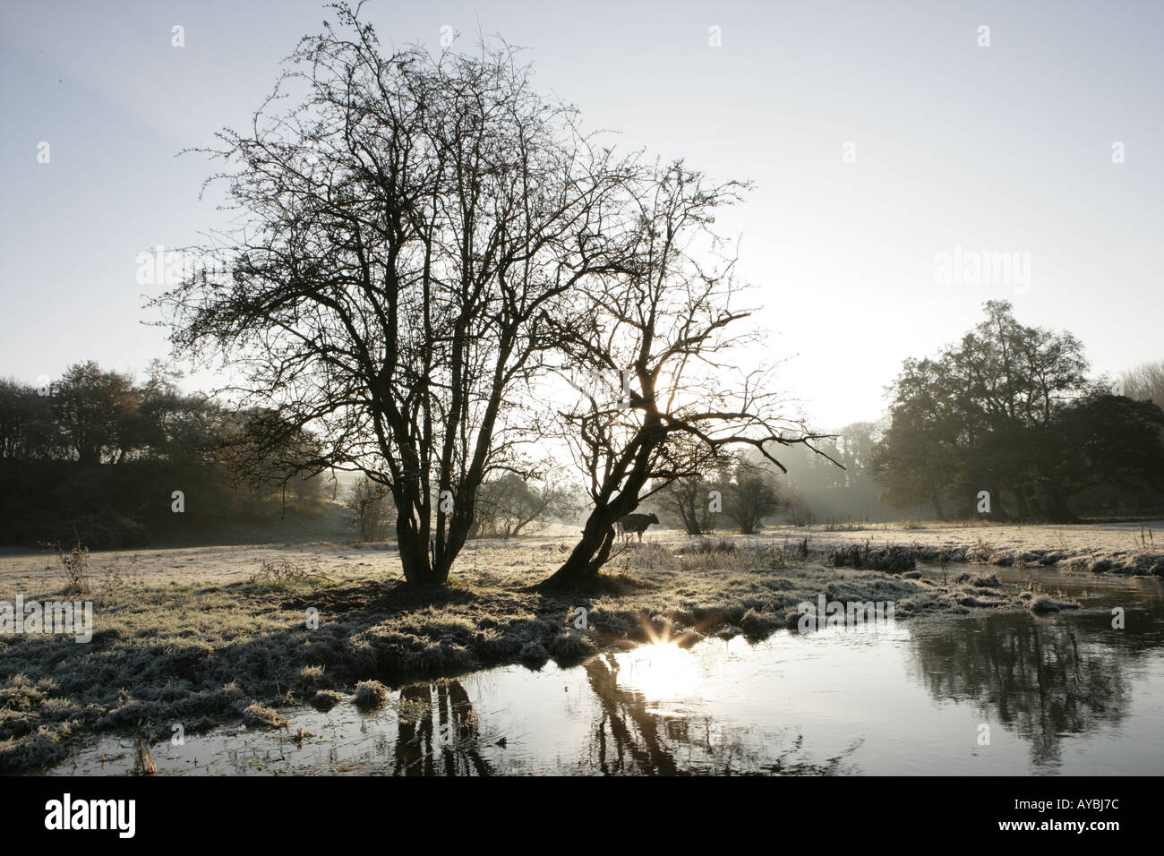 A winters day in the Cotswolds near the village of North Cerney after ...