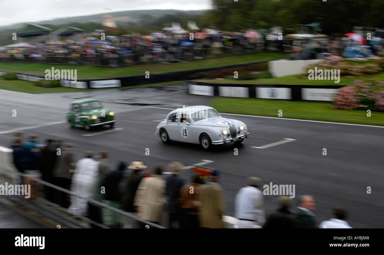 Goodwood Revival 2006 St Mary s Trophy race Jaguar followed by Austin ...
