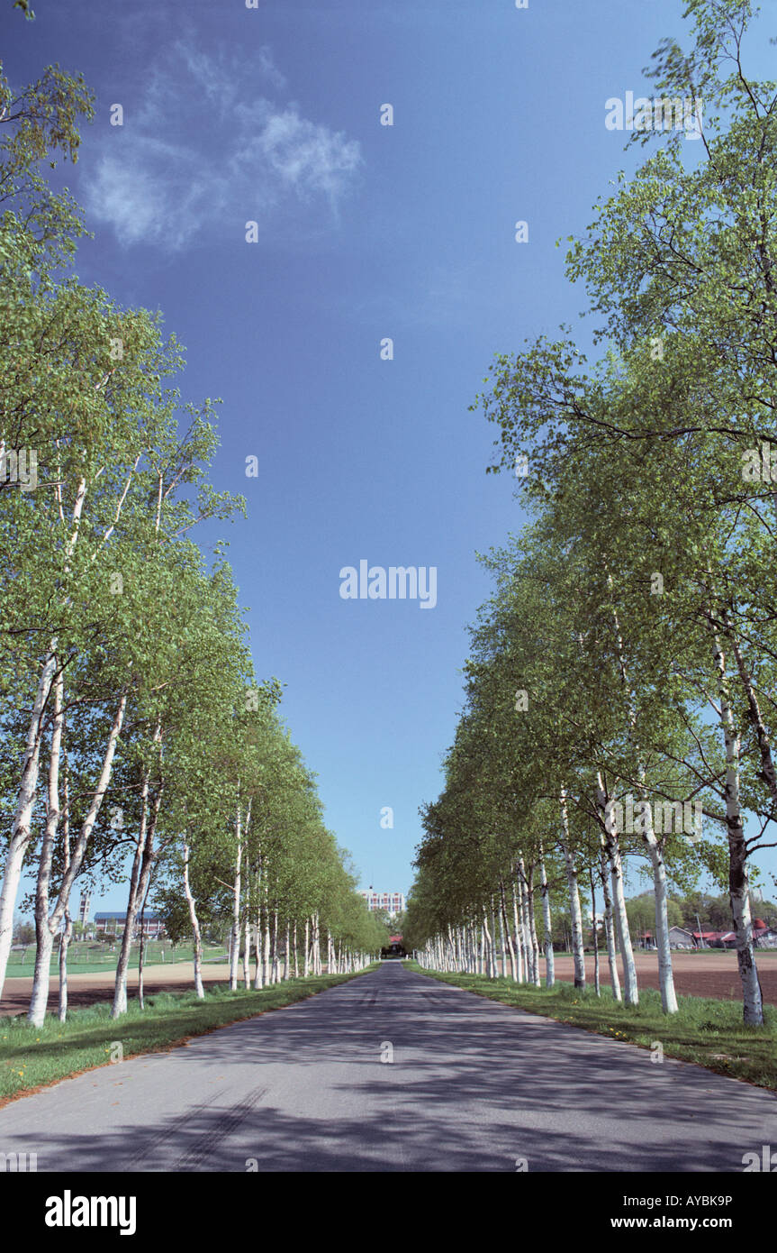 Rows paths hi-res stock photography and images - Alamy