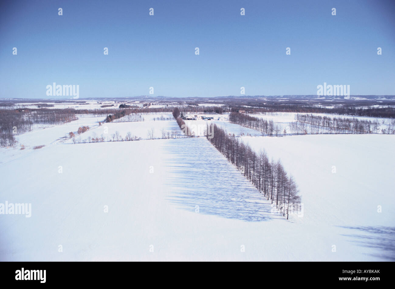 Fields in Snow Stock Photo - Alamy