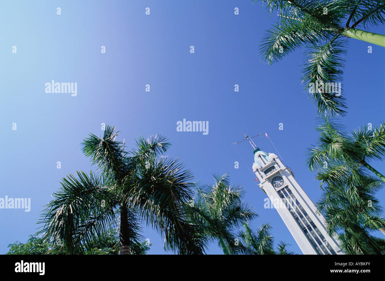 Clock Tower and Palms Stock Photo - Alamy