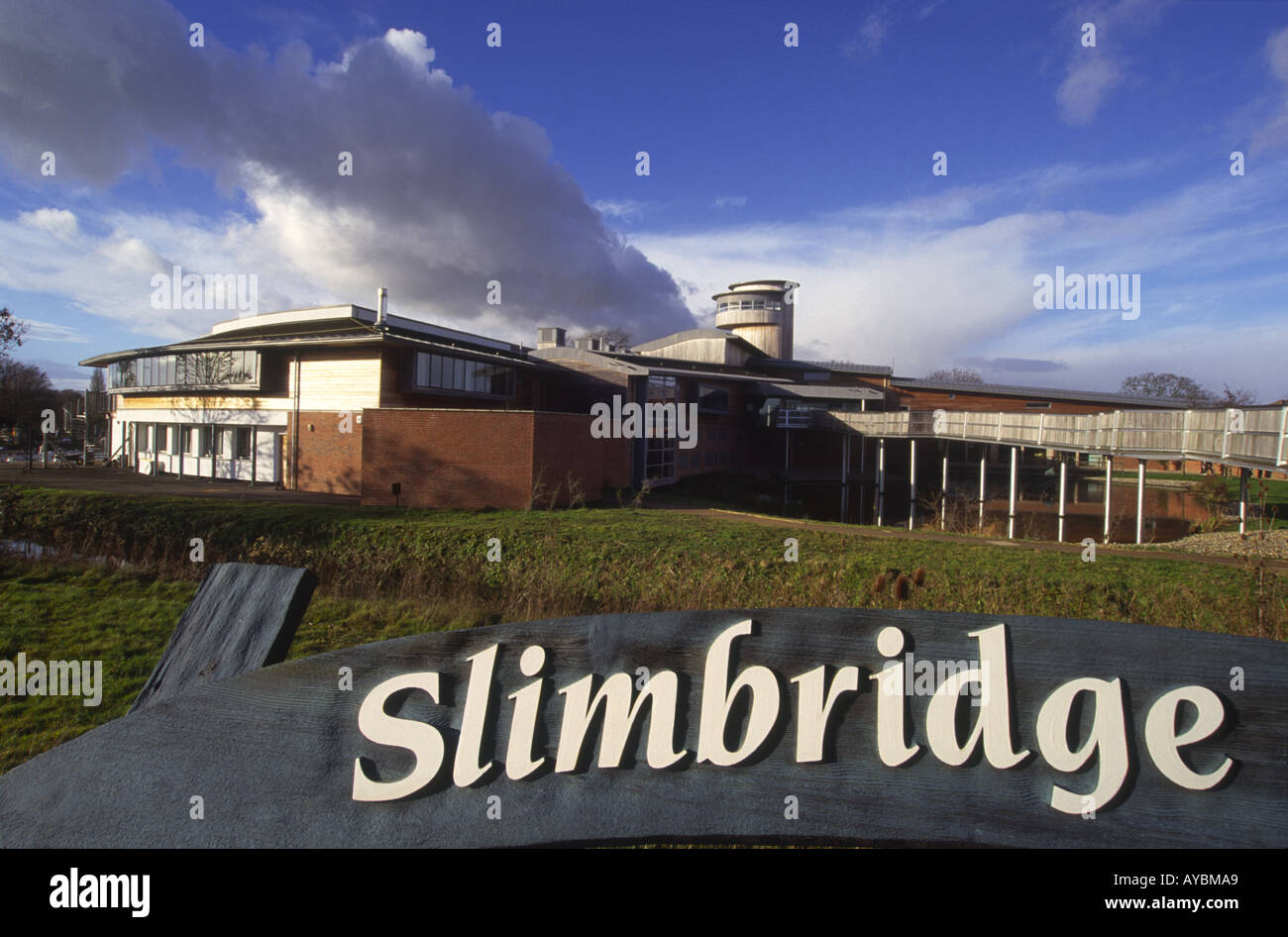 Slimbridge wetland centre ducks hi-res stock photography and images - Alamy