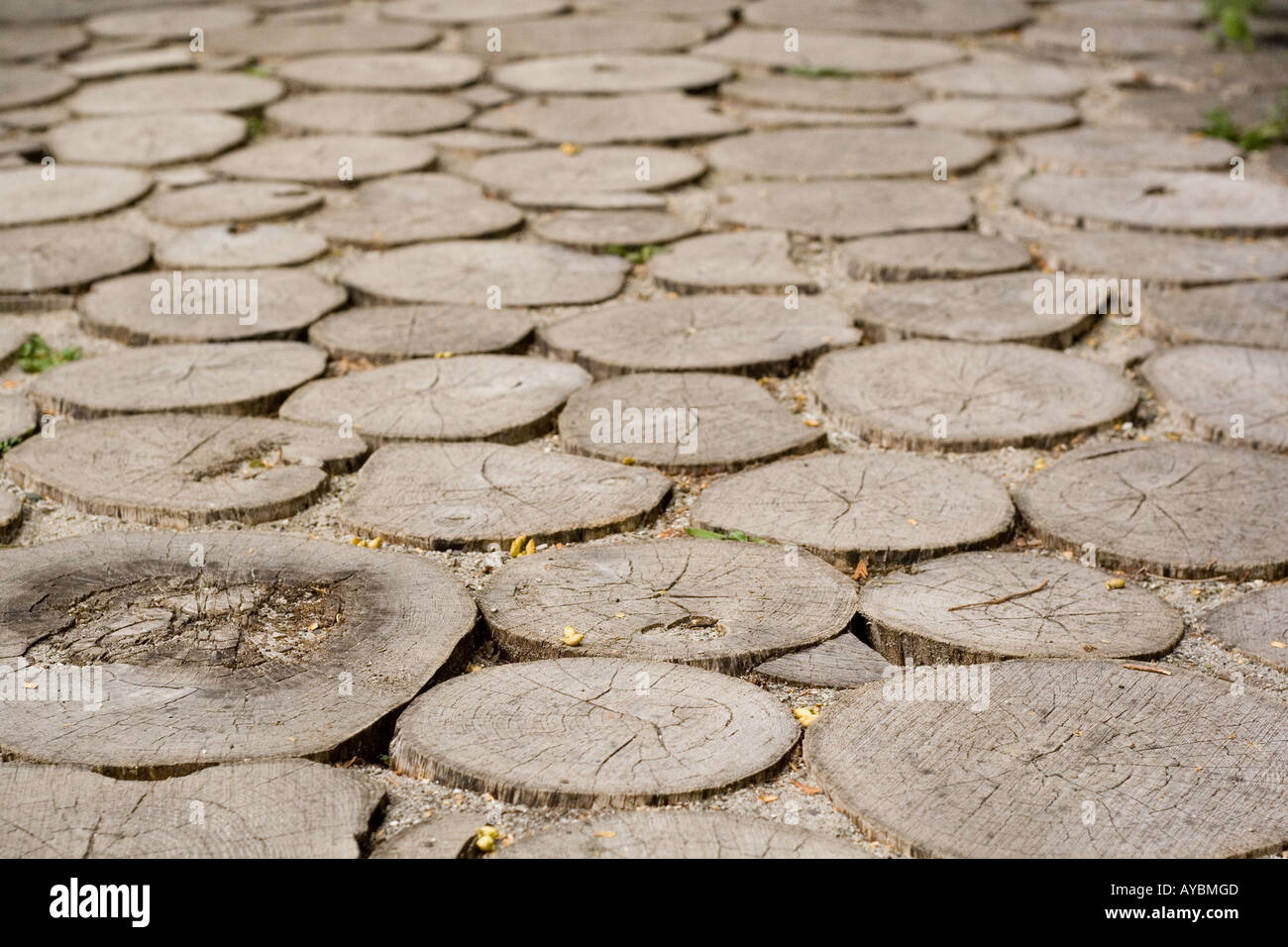 Wooden floor planks pier wood worn hi-res stock photography and images ...